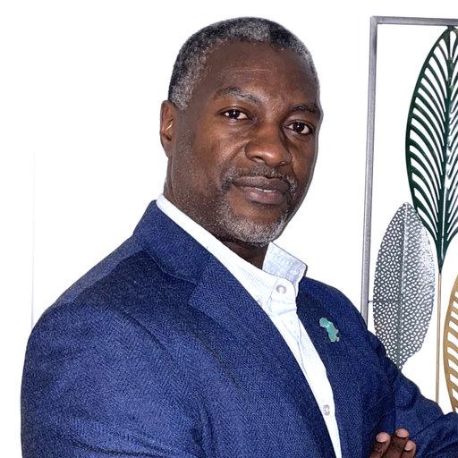 Paneldiscussie Urban transitions and implications for the Global South ...