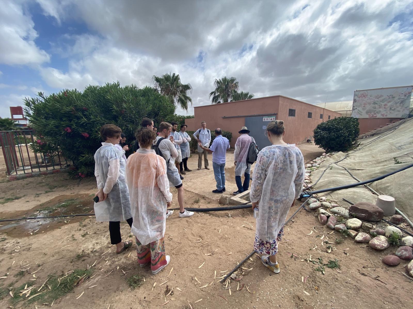 Dutch - Moroccan collaboration in greenhouse horticulture | Leiden ...